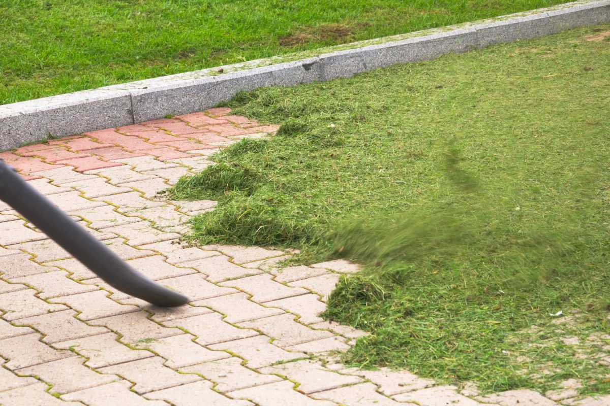 Lawn Blowing Services in Springfield, OH | Debris & Leaf Cleanup